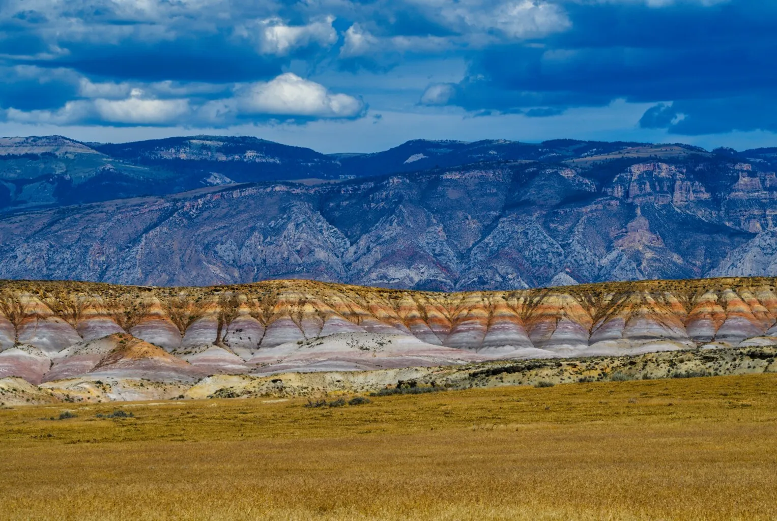 Wyoming Corporate Tax Rate in 2026: A Guide to the Friendly Frontier ...